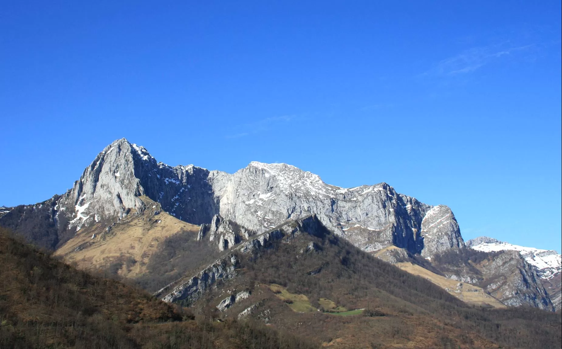 Discover the natural area of Ponga Natural Park