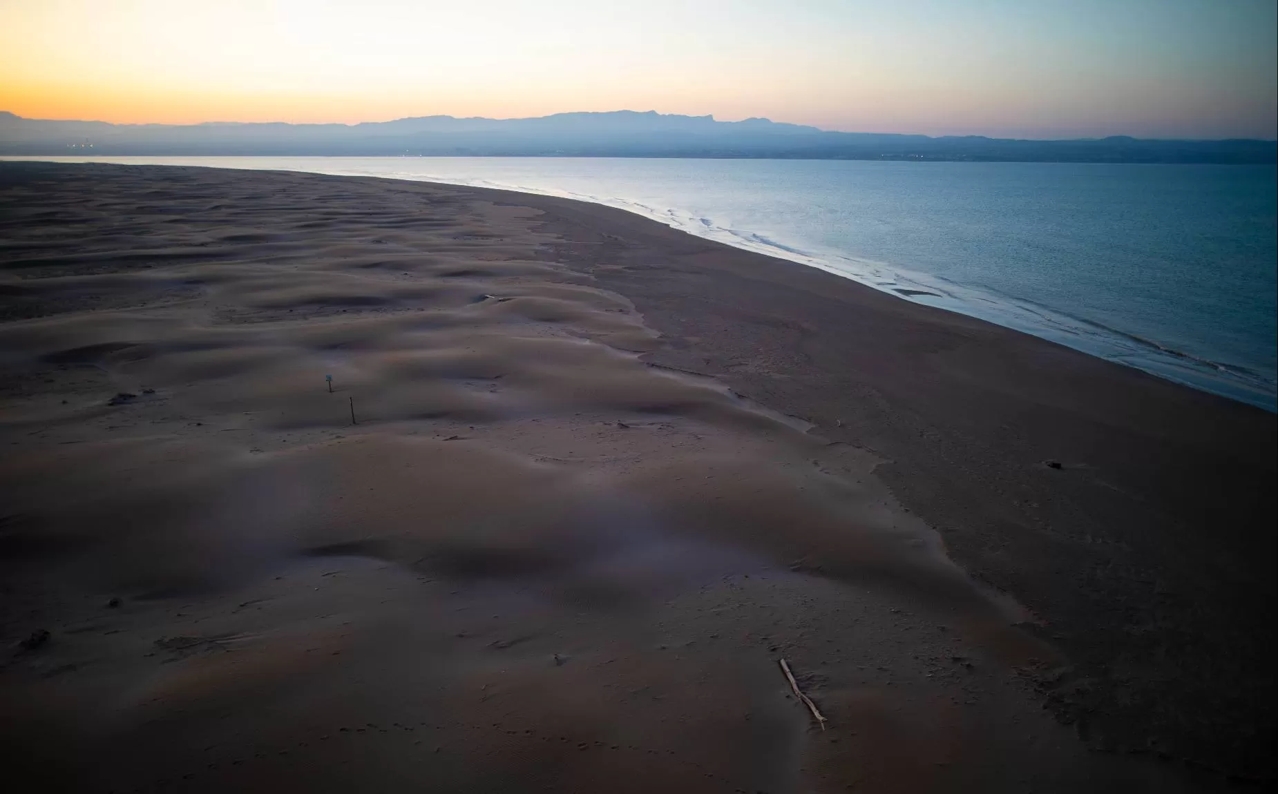 Descubre el espacio natural en el Delta del Ebro